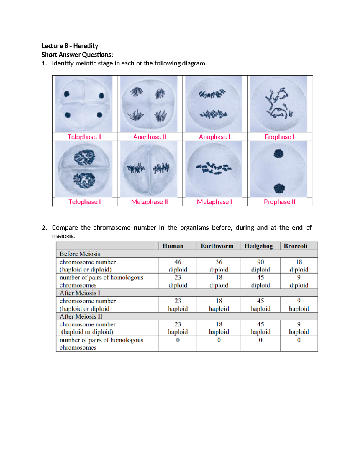 L8 - Inheritance Study Guide: Meiosis, Mitosis & Genetic Problems - Studocu