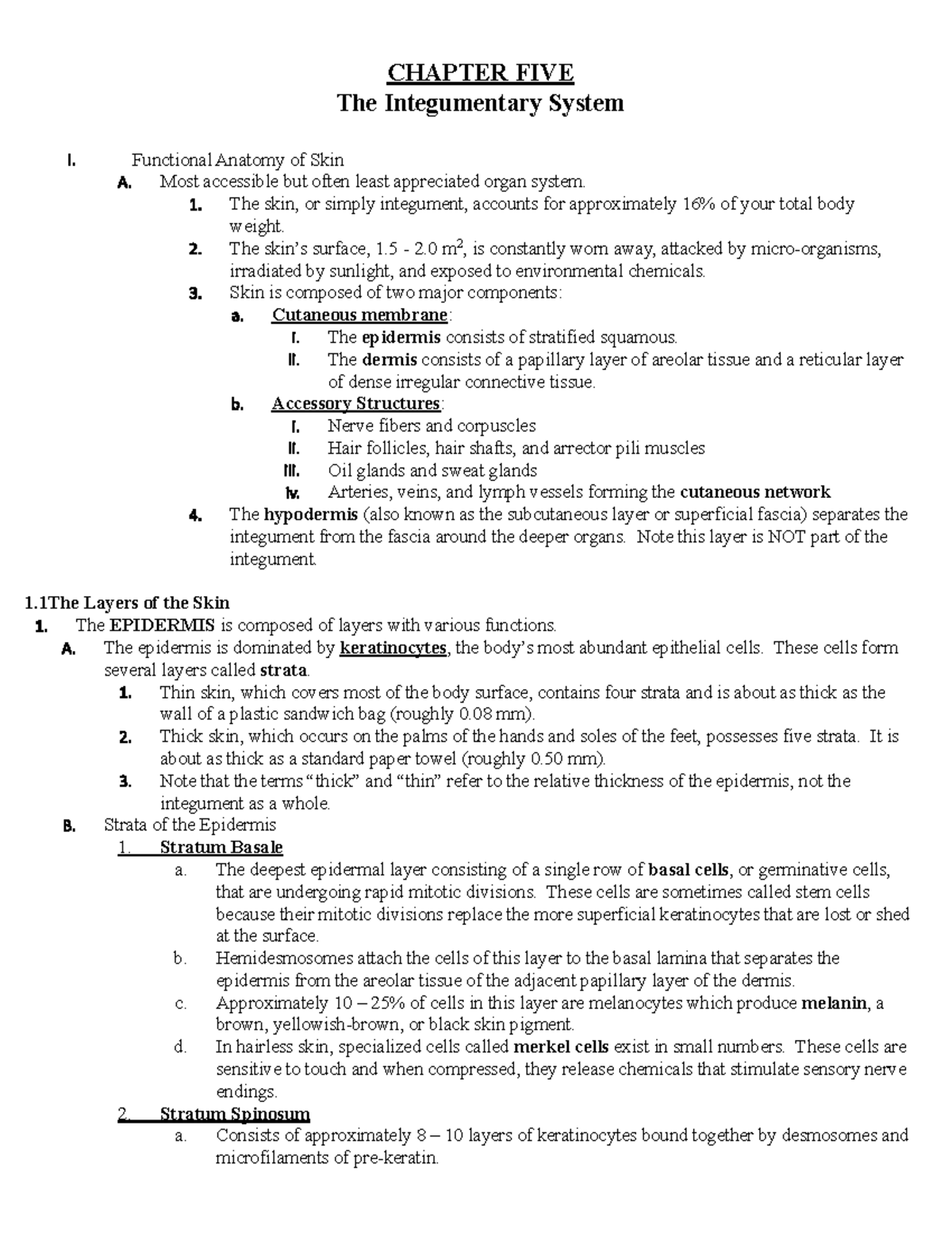 Ch 5 notes - CHAPTER FIVE The Integumentary System Functional Anatomy ...