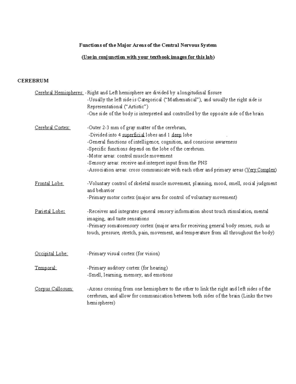 Functions of the CNS: Major Areas Overview - Notes - Studocu