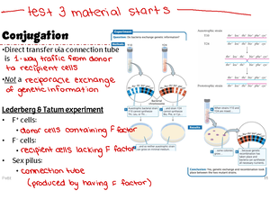 Remote Transgenic Fly Lab - BioInteractive Published January 2015 ...