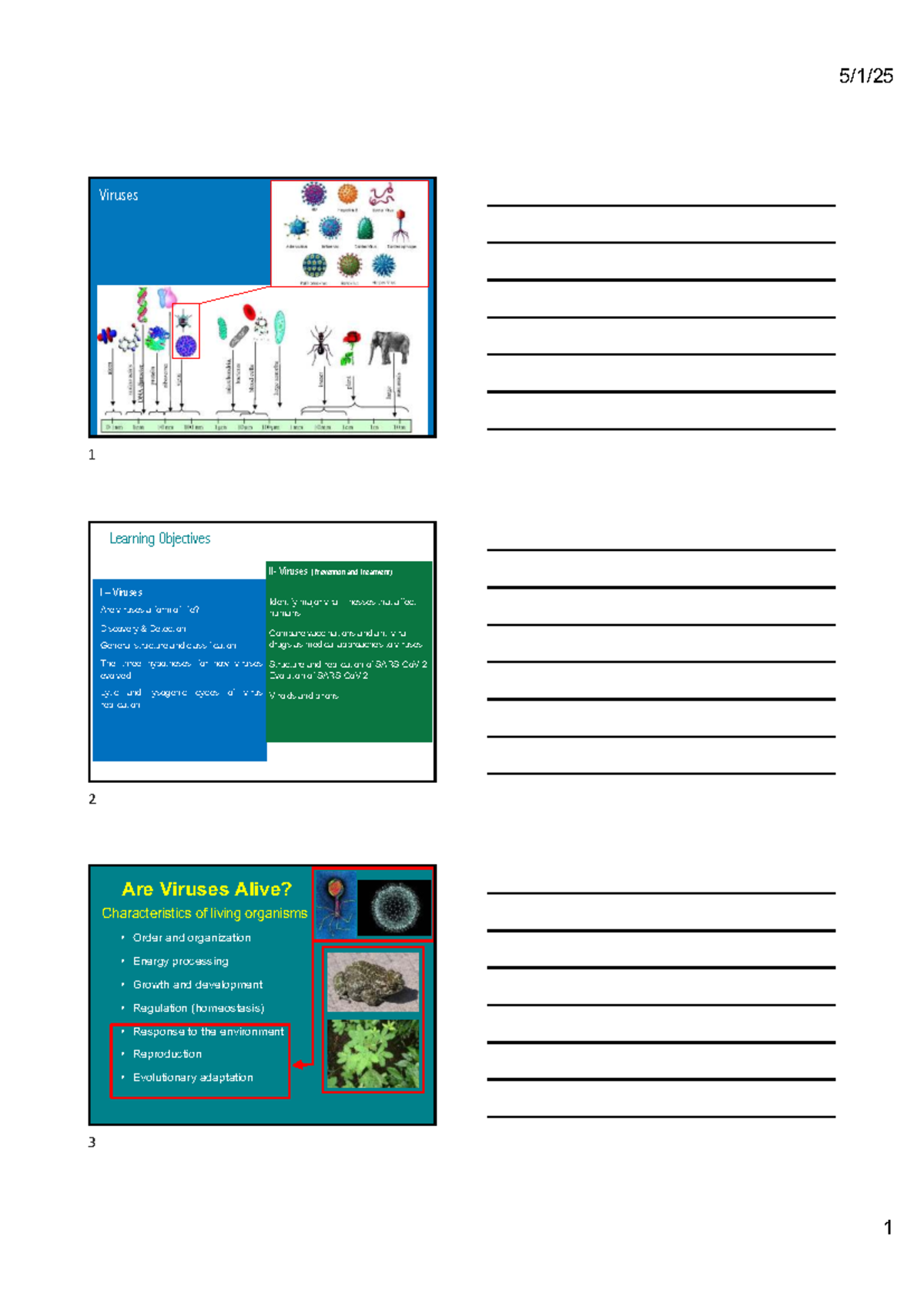 Viruses: Structure and Treatment Insights - BIOL171 Final Exam SP25 - Studocu