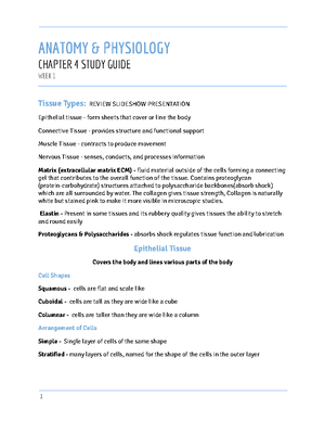ANATOMY 101: Chapter 6 Study Guide on Skin and Membranes - ANATOMY ...