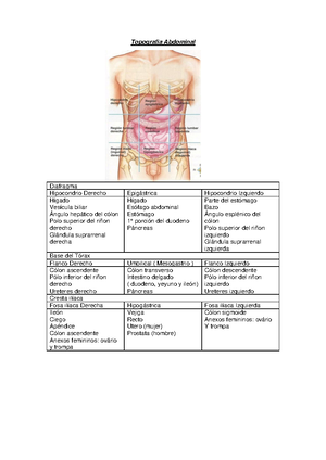 Región Axilar - Resumen Anatomia - Región AxilRegión Axil Limites ...