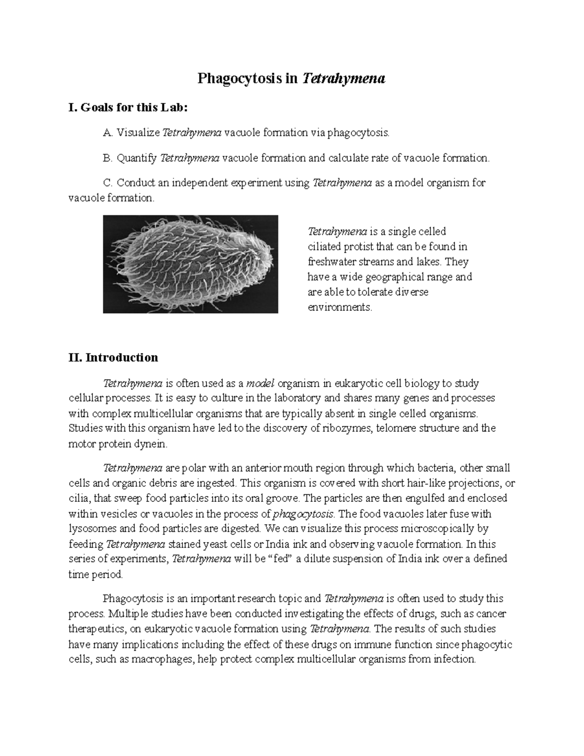 Tetrahymena Lab - Phagocytosis in Tetrahymena I. Goals for this Lab: A ...