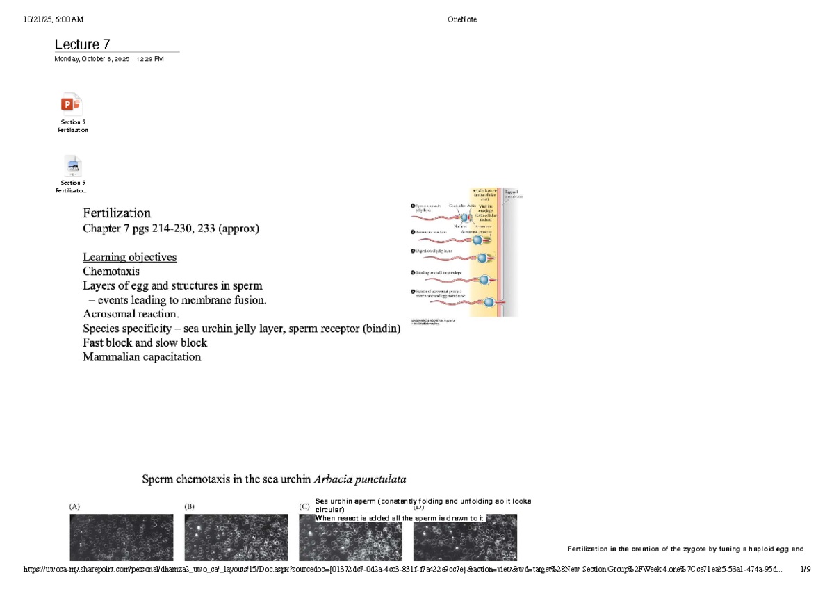 Fertilization Insights: Lecture Notes for BIO 101 - Section 5 - Studocu