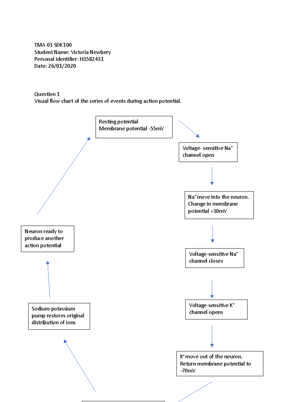 TMA 03: Understanding Action Potential and Pain Perception in SDK100 ...