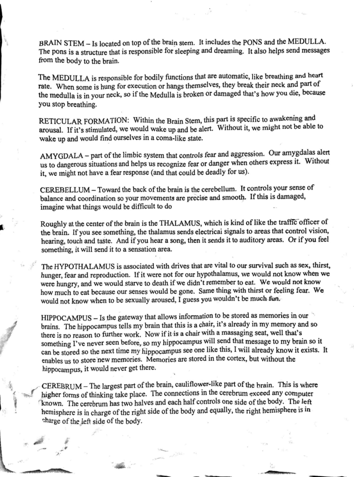 Final Exam Study Guide: Brain Stem & Limbic System (ABC123) - Studocu