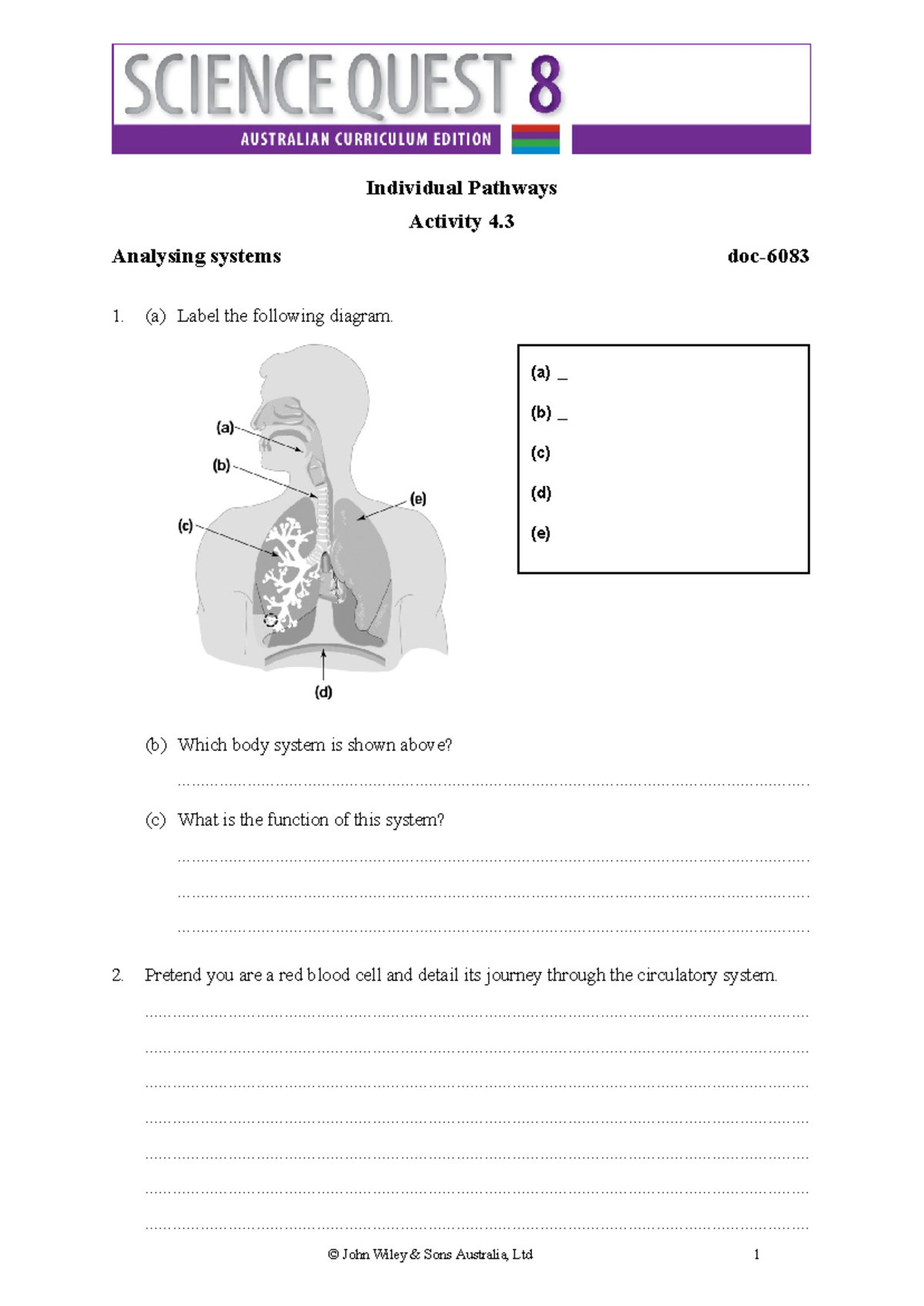 Individual Pathways Activity 4.3: Analysing Systems Revision Material ...