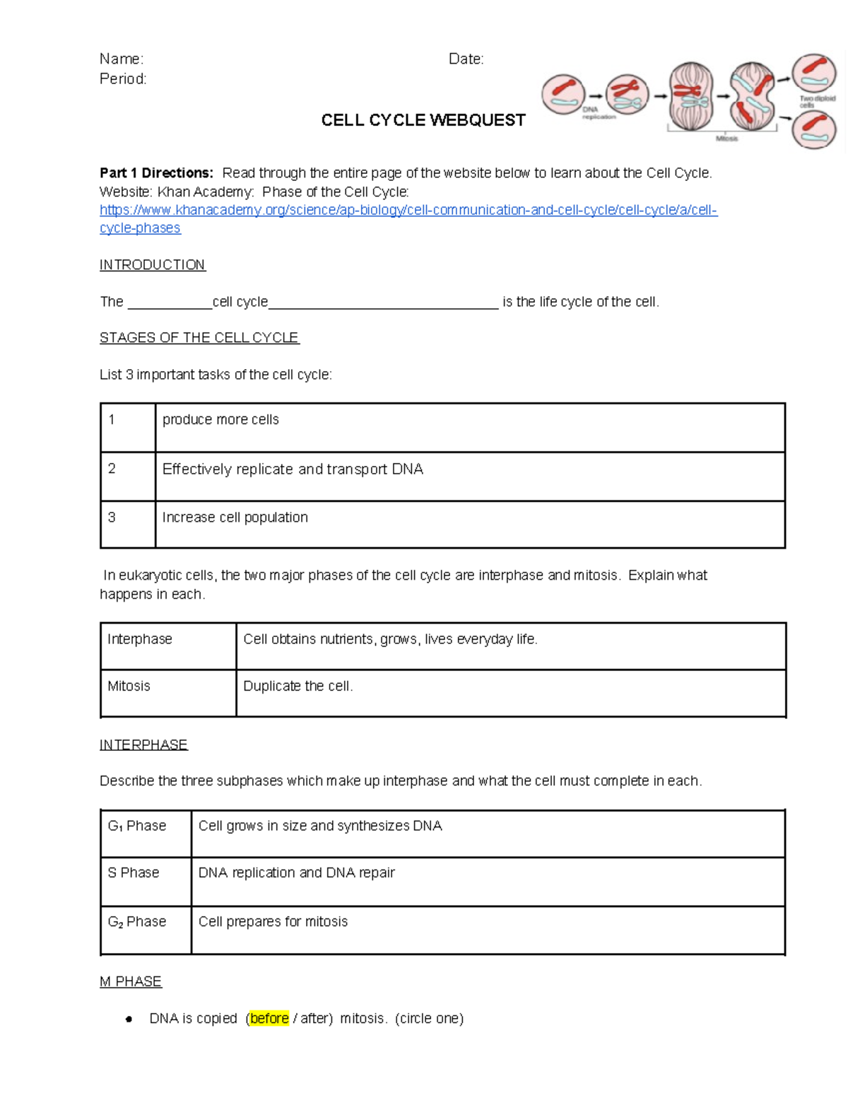 Cell Cycle Webquest v2 - ;;;;;;;;; - Name: Date: Period: CELL CYCLE ...