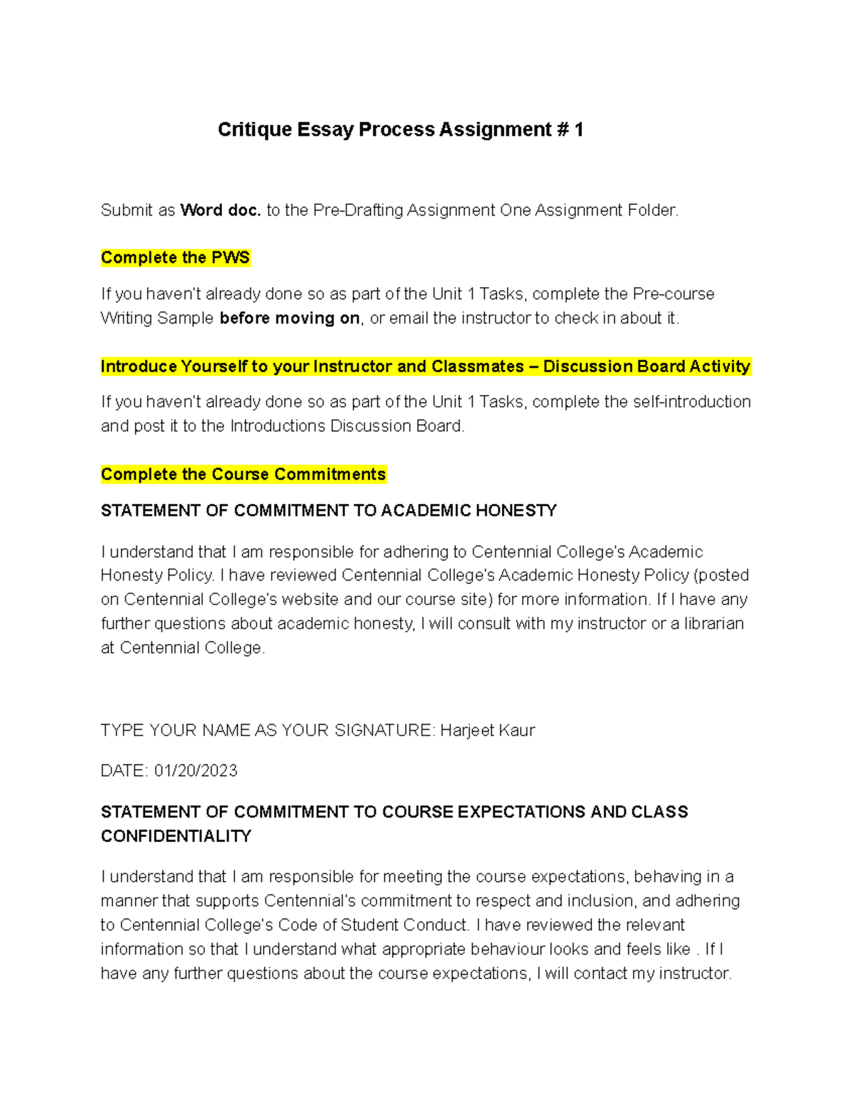 Critique Essay Process Assignment #1: Exploring Techno-Optimism Risks ...
