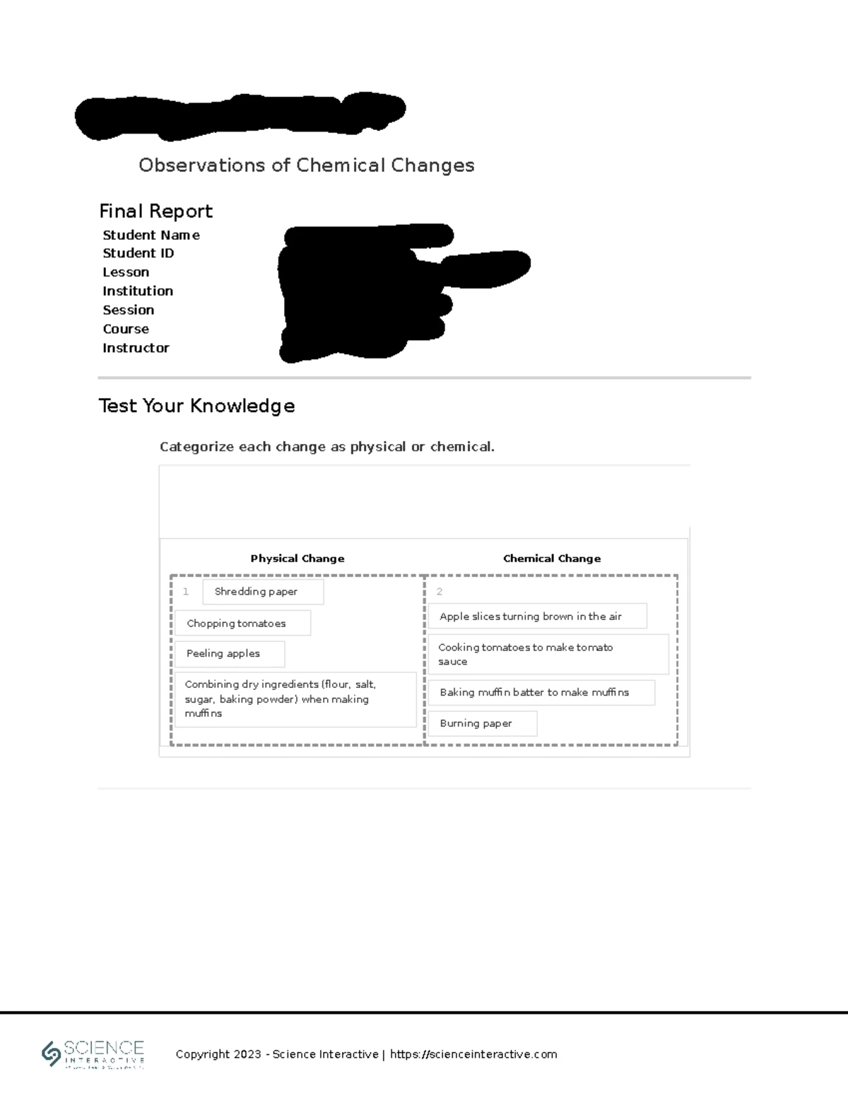 Lab # 3 - Observations of Chemical Changes, Lab # 3 - Student Name Naim ...
