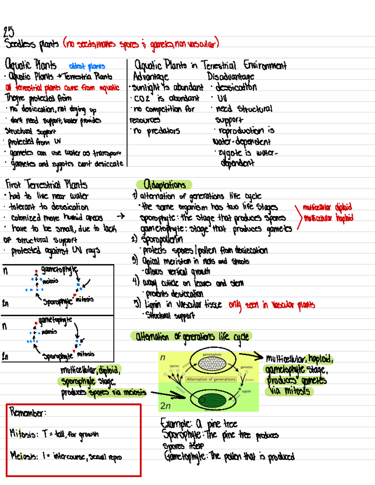 Aquatic and Terrestrial Seedless Plants: Adaptations and Life Cycle ...