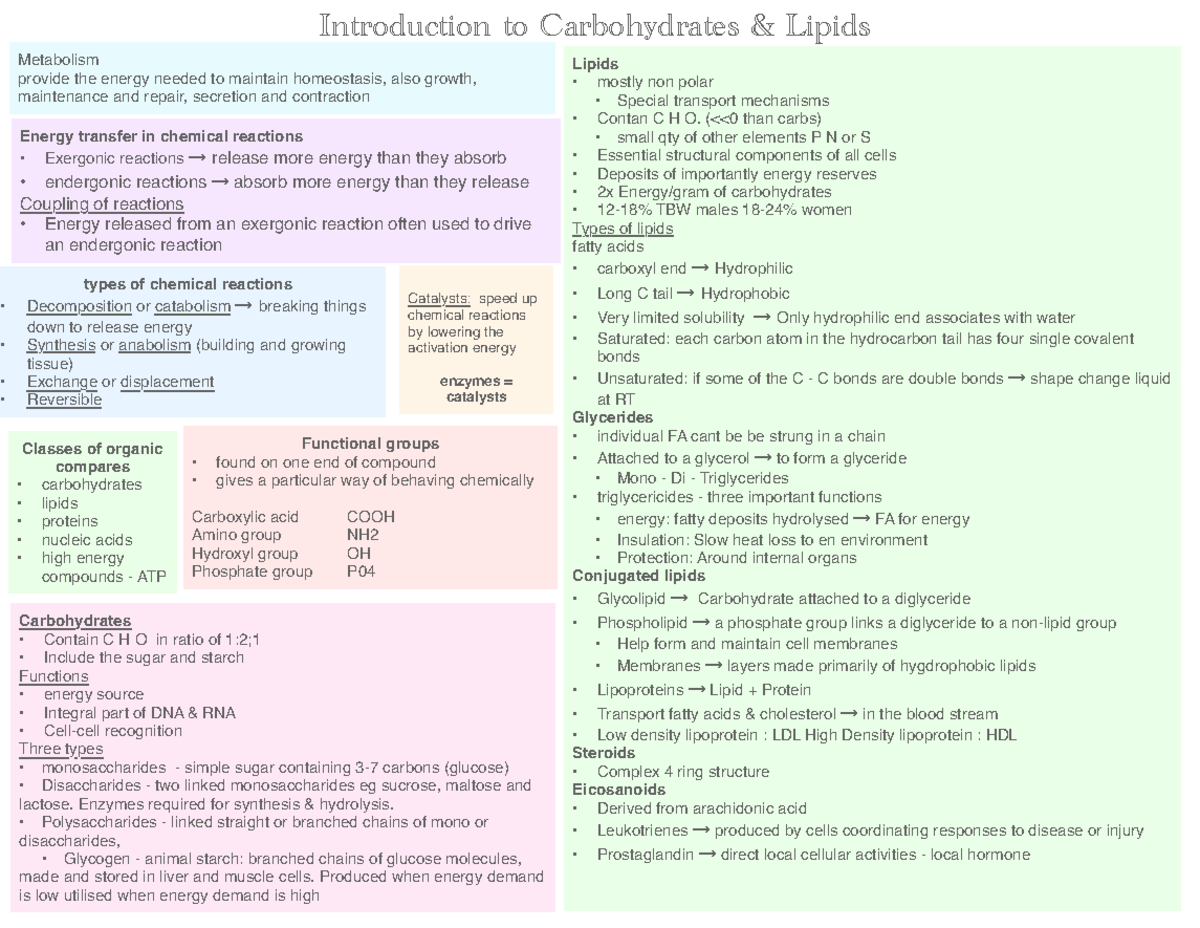 Intro to Carbs & Lipids: Overview of Functions & Reactions in Chemistry ...