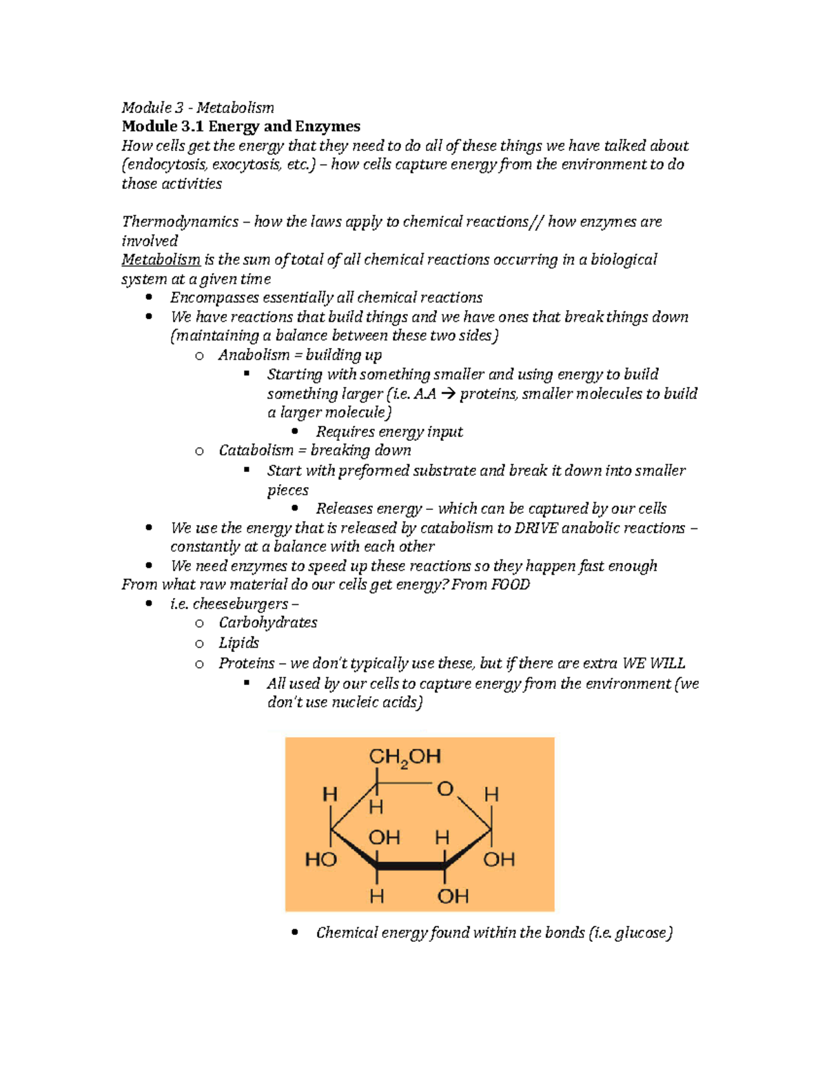 Metabolism Study Notes: Module 3.1 Energy & Enzymes Insights - Studocu