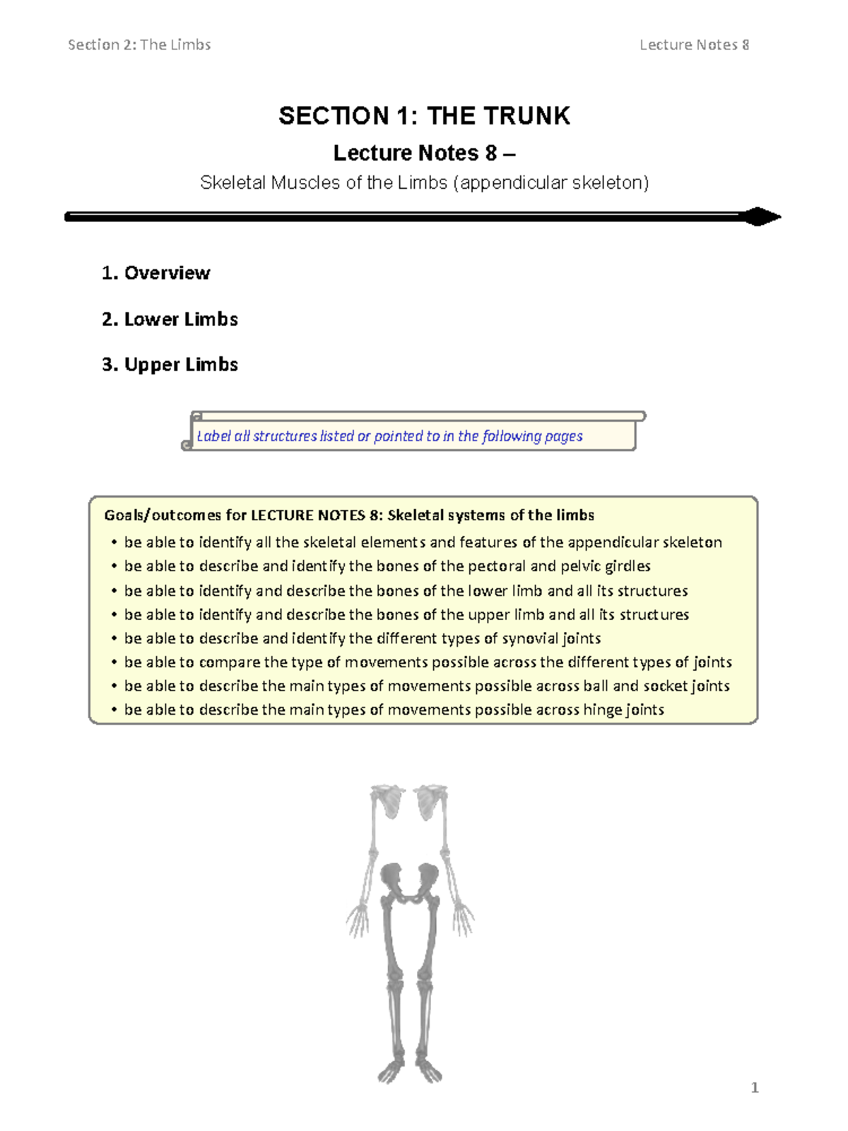 Lecture Notes 8: Skeletal Muscles of the Limbs - Studocu
