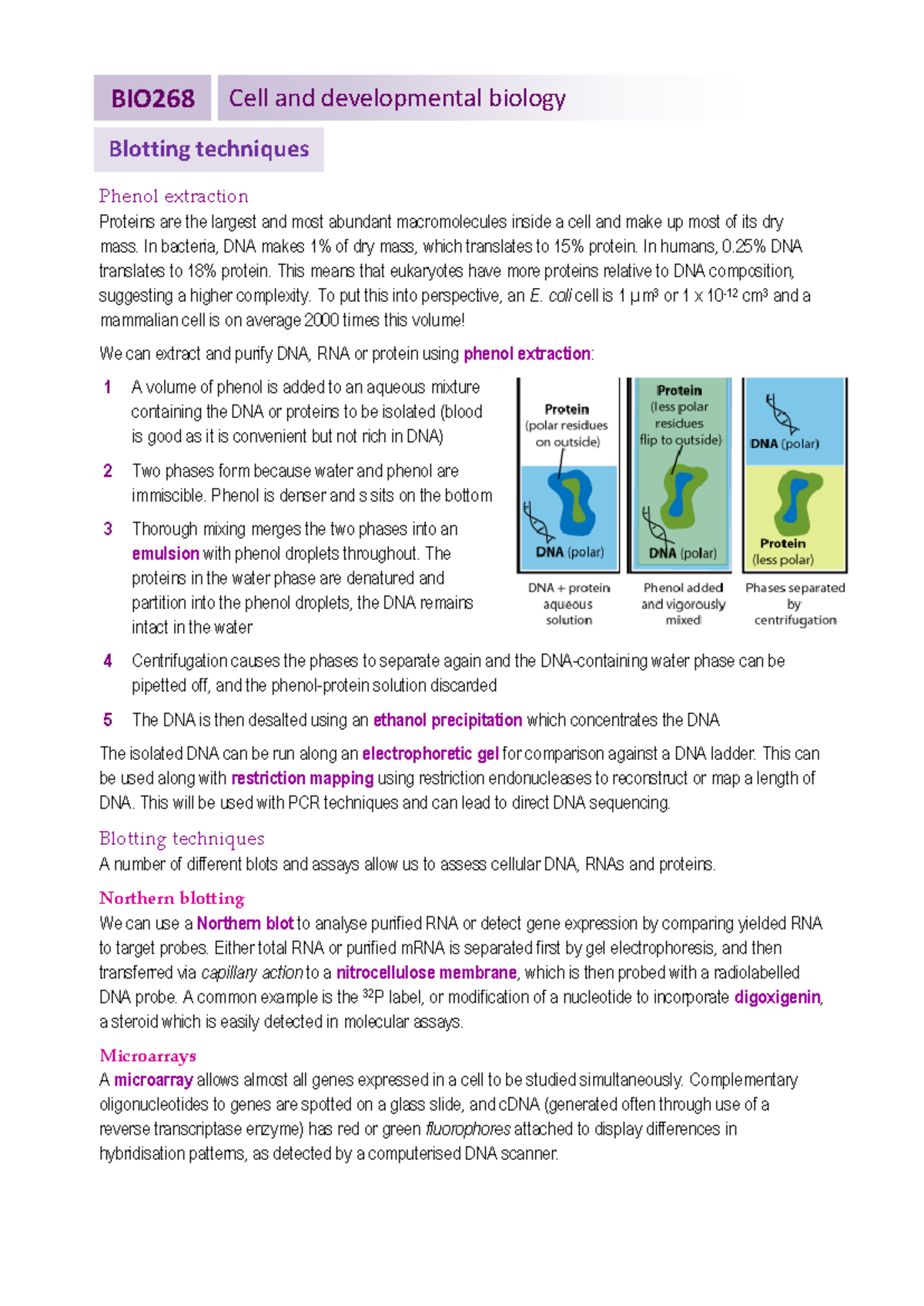Revision Notes Cell and Developmental Biology: courses, Cell and ...