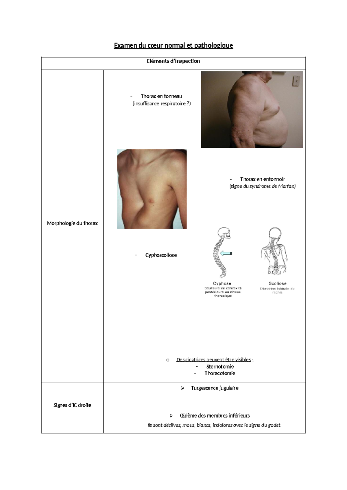 Examen du cœur normal et pathologique - Cours de Médecine - Studocu