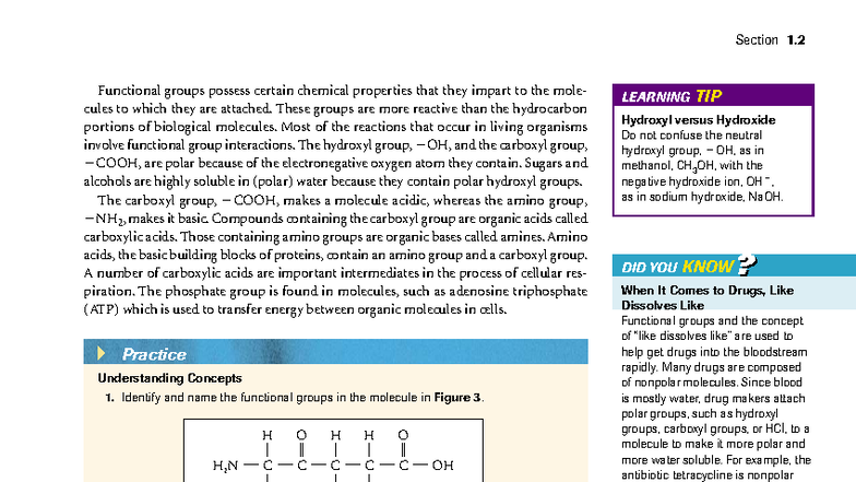 U1L5 - Functional Groups and Their Role in Biochemical Reactions - Studocu