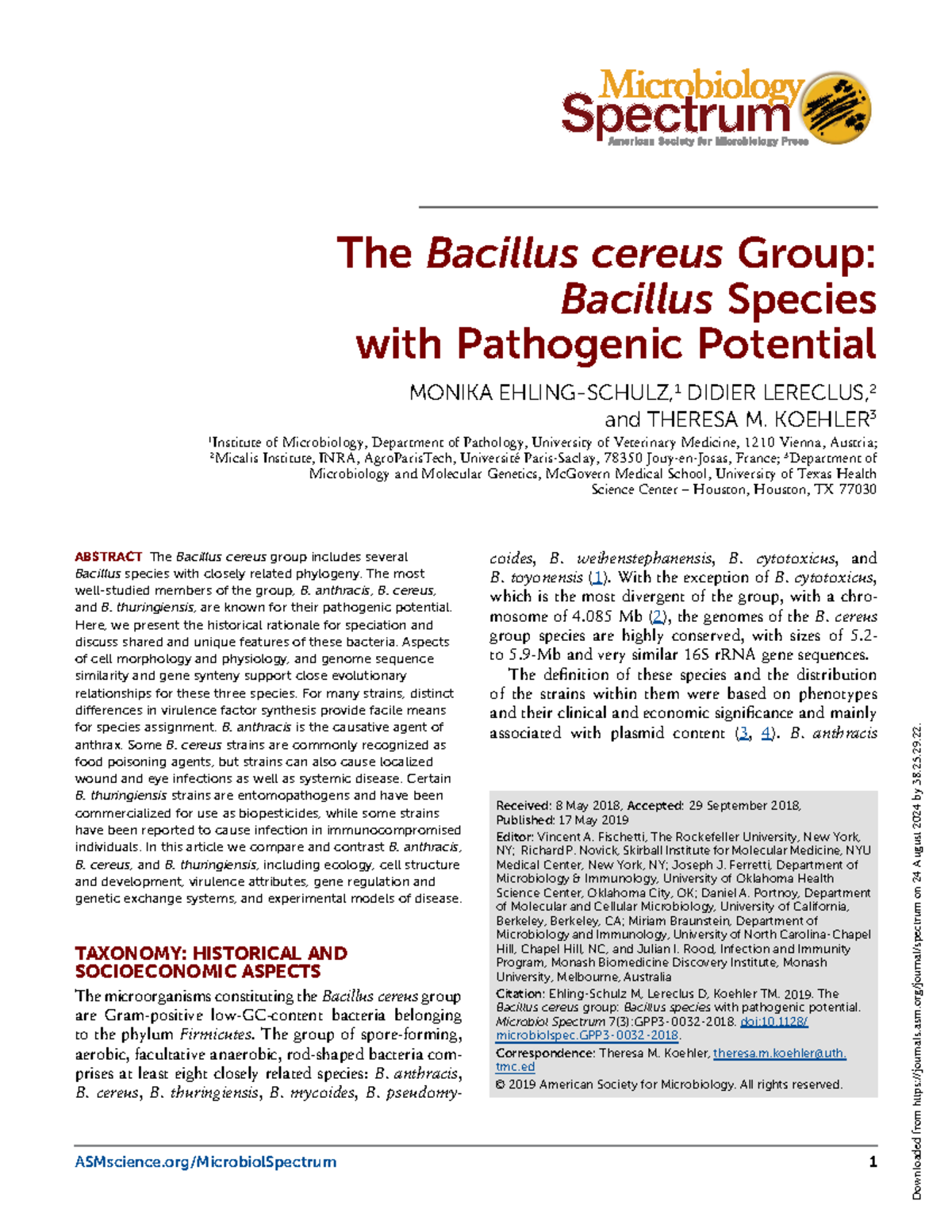Bacillus Species with Pathogenic Potential 2019 - The Bacillus cereus ...
