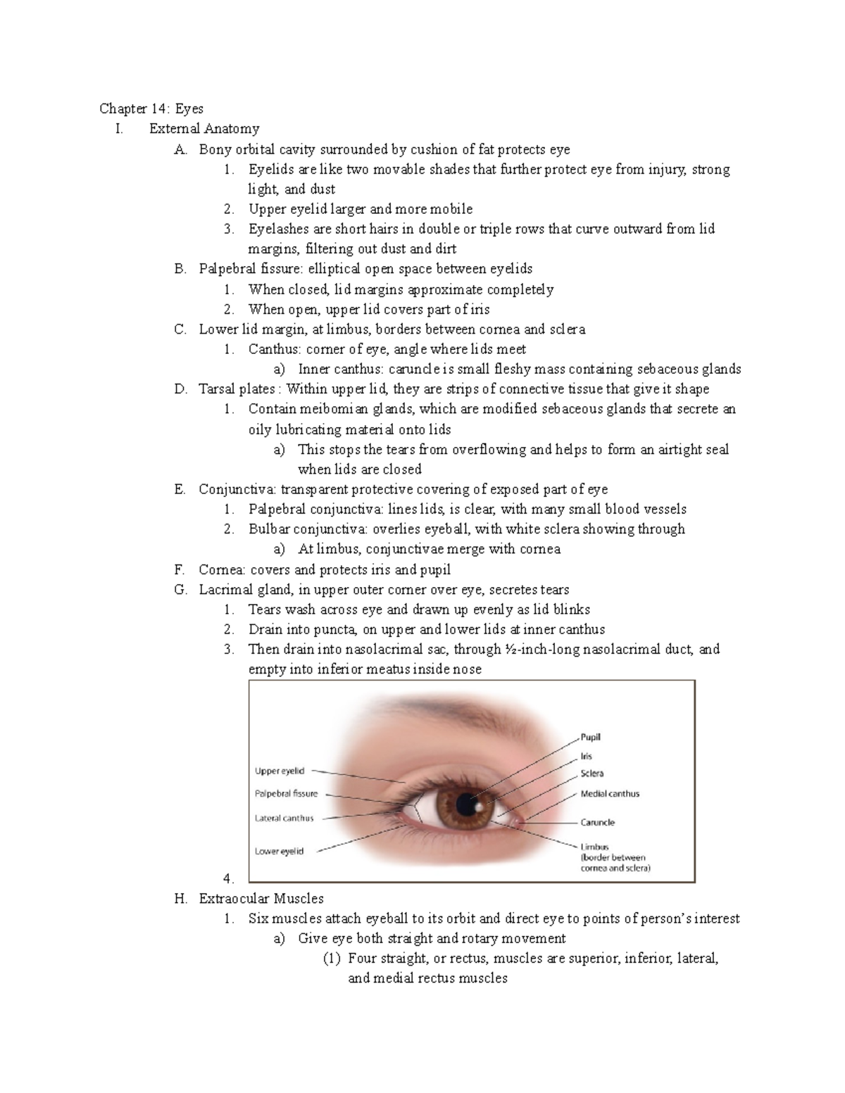 Chapter 14: Eyes - Summary Physical Examination & Health Assessment ...