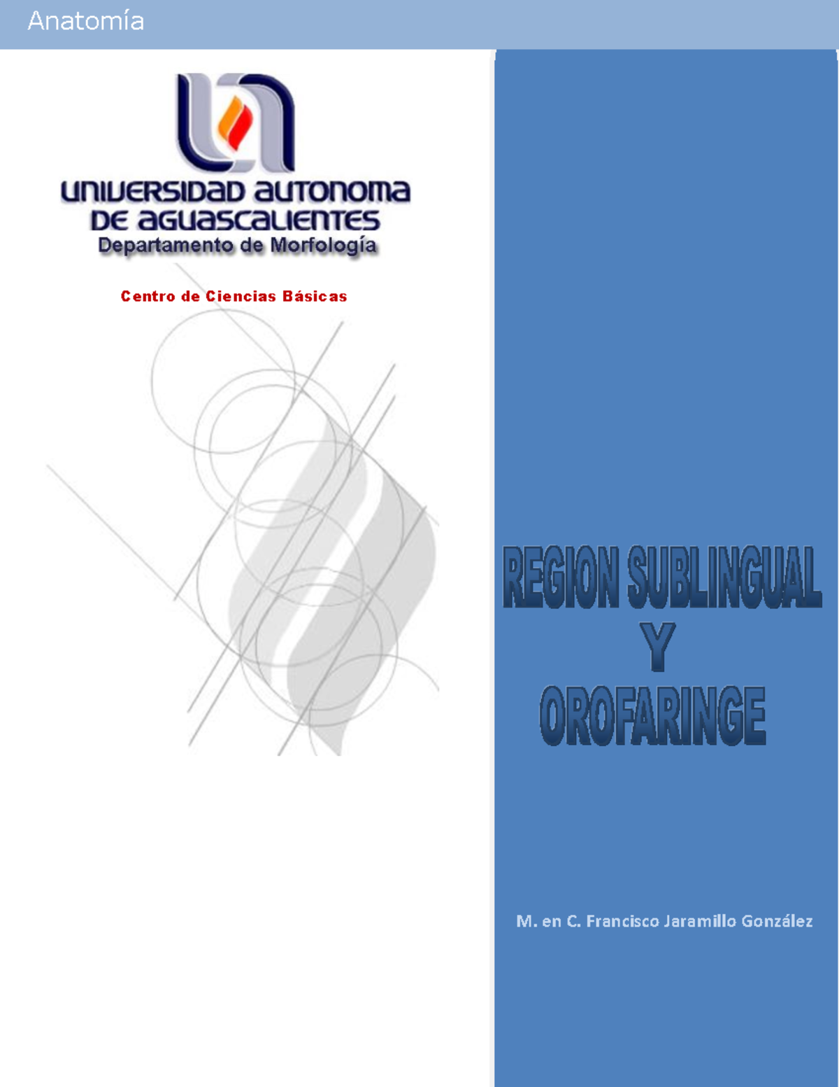 Anatomía de la Región Sublingual y Orofaríngea - Medicina 2.19 - Studocu