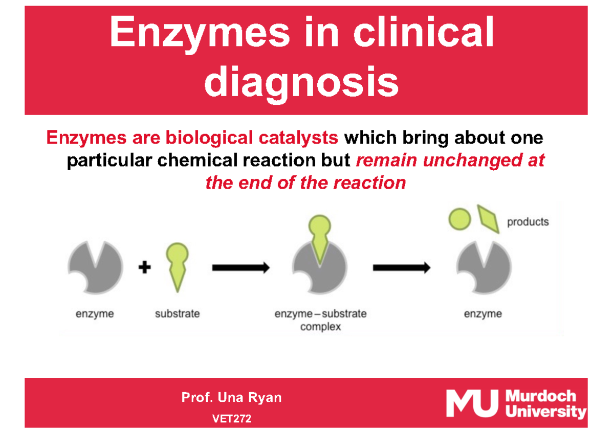 1 Enzymes in clinical diagnosis - Enzymes in clinical diagnosis Enzymes ...