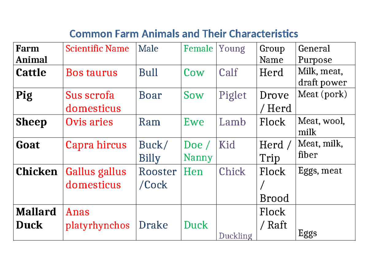 Farm Animals Characteristics Overview: Common Species & Traits - Studocu