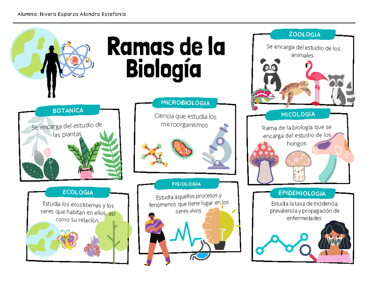Ramas de la Biología: Botanica, Ecología, Zoología y más - Studocu