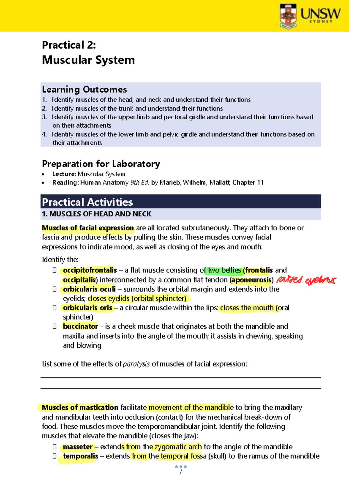 Lab 2: Muscular System Overview and Learning Outcomes 2024 - Studocu