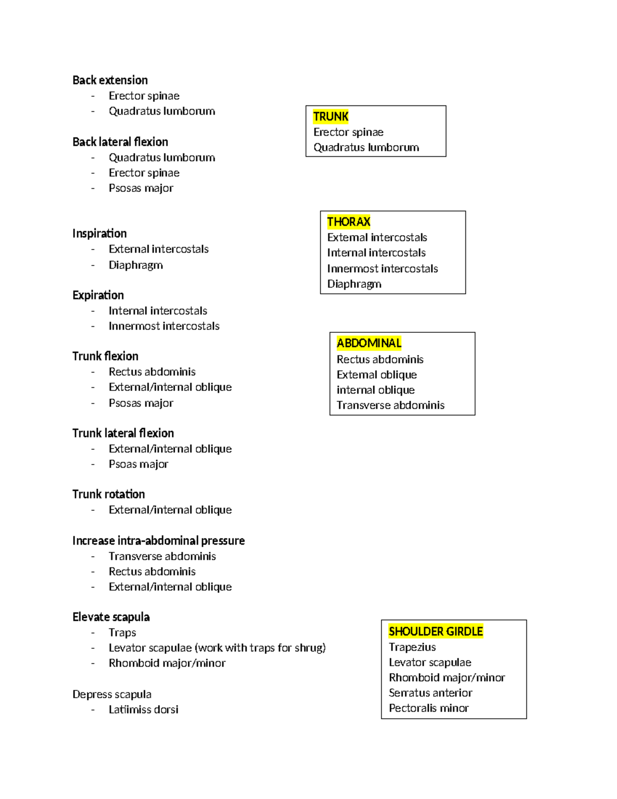 Studyy - study - Back extension - Erector spinae - Quadratus lumborum ...