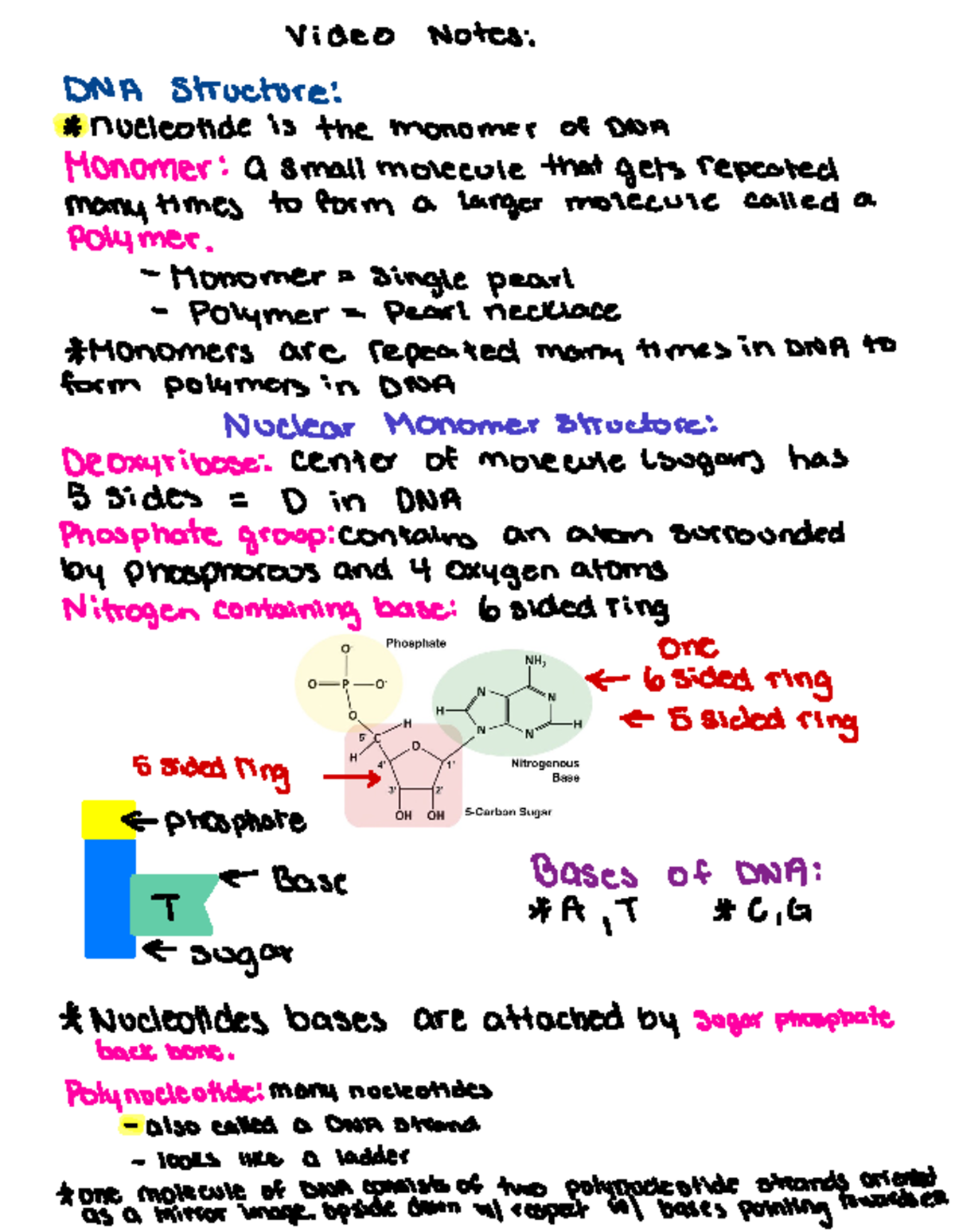 Biology 300 - Course notes and practice questions - Video Notes ...
