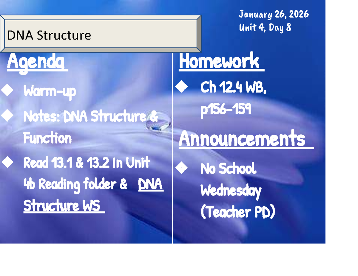 Week 3 DNA Structure & Function Notes (Ch 12.4) - Studocu