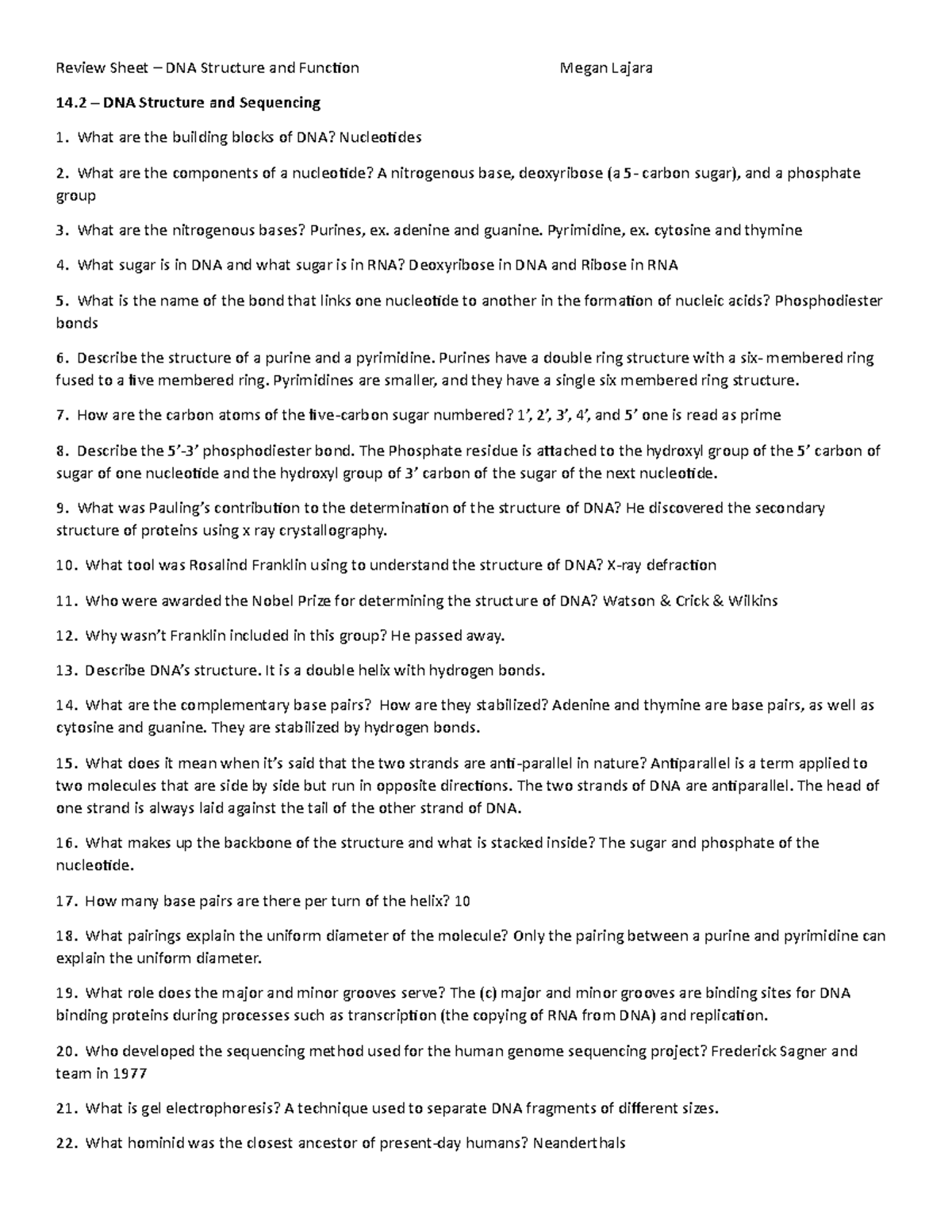 Unit 6 Review Sheet: DNA Structure, Function, and Replication Concepts ...