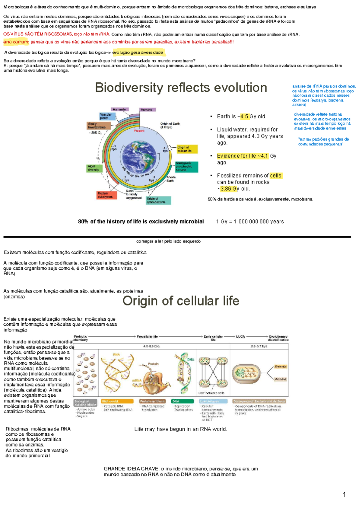 Bacteria - Biodiversity reflects evolution 80% of the history of life ...