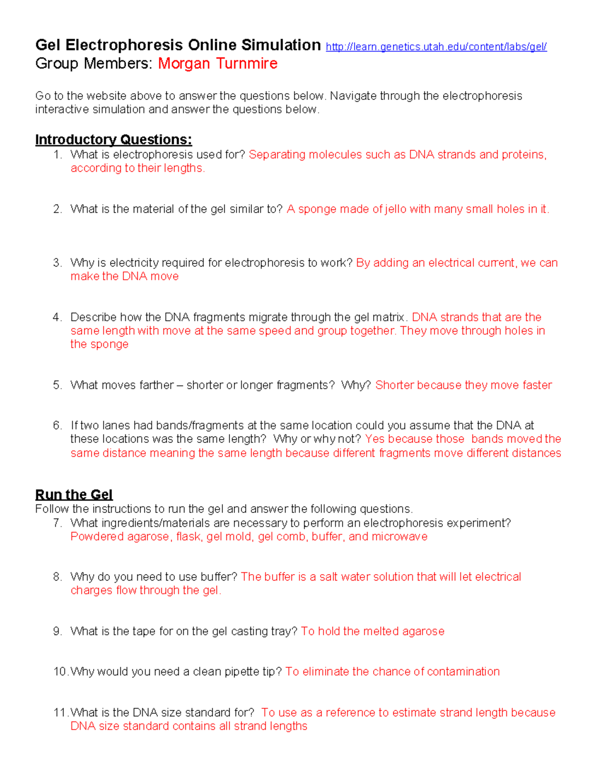 Gel Electrophoresis Online Lab: Interactive Simulation Guide - Studocu