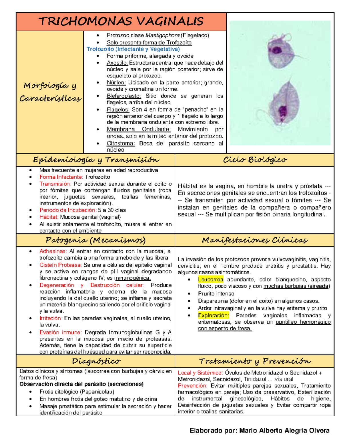 Trichomonas Vaginalis: Morfología, Epidemiología y Tratamiento - Studocu