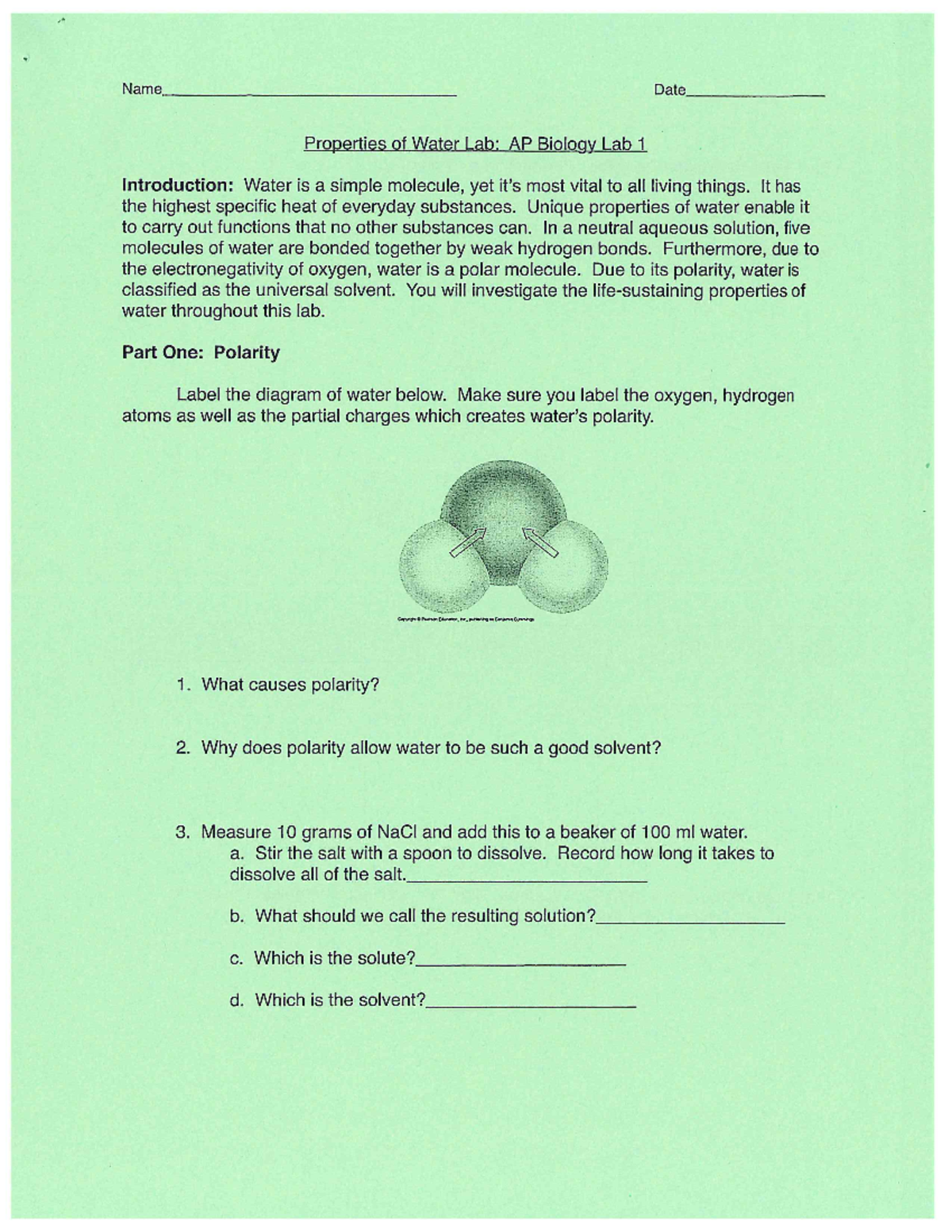 AP Biology Lab 1: Properties of Water - Adhesion, Cohesion ...