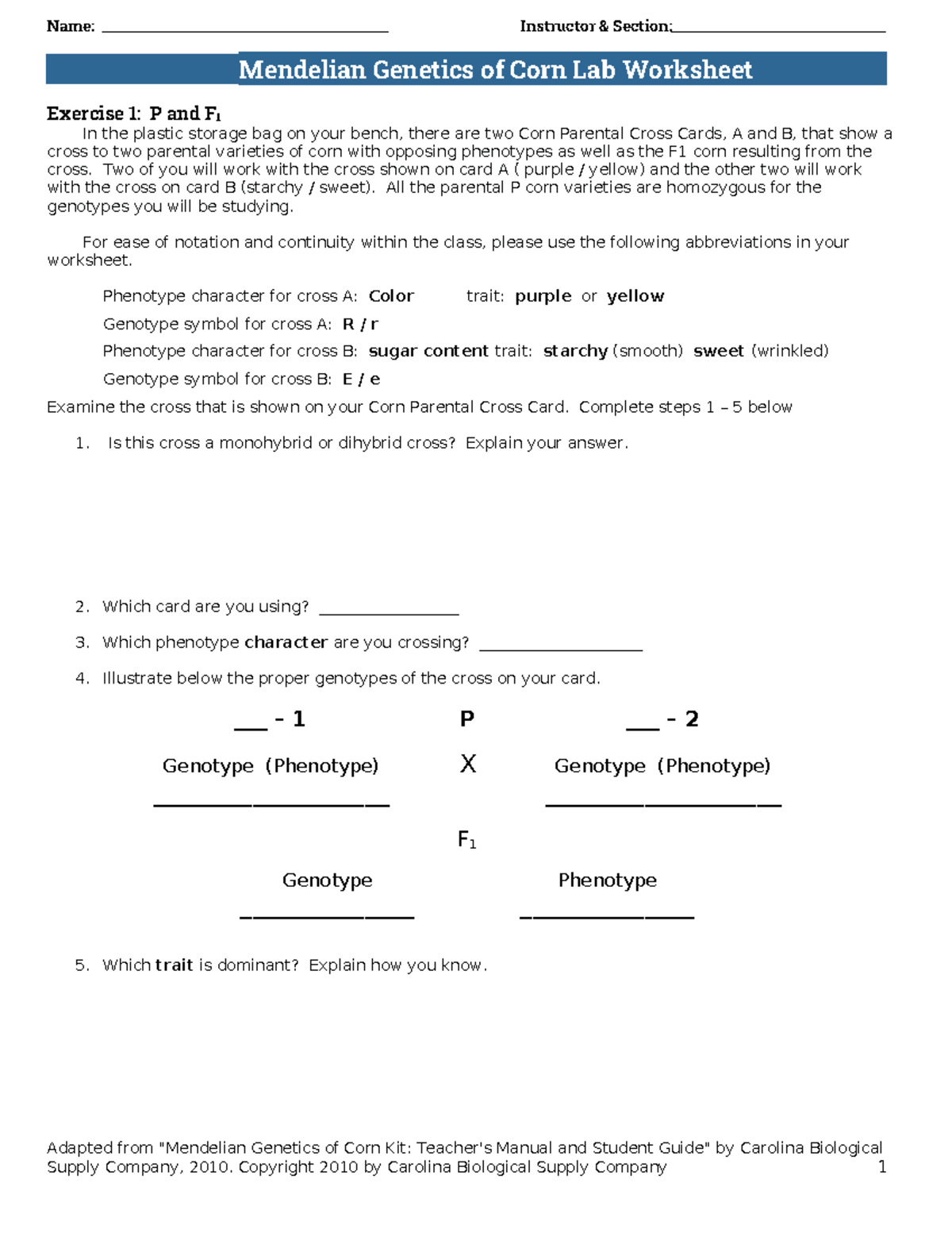 Mendelian Genetics of Corn Lab Worksheet S23: Exercise and Analysis ...