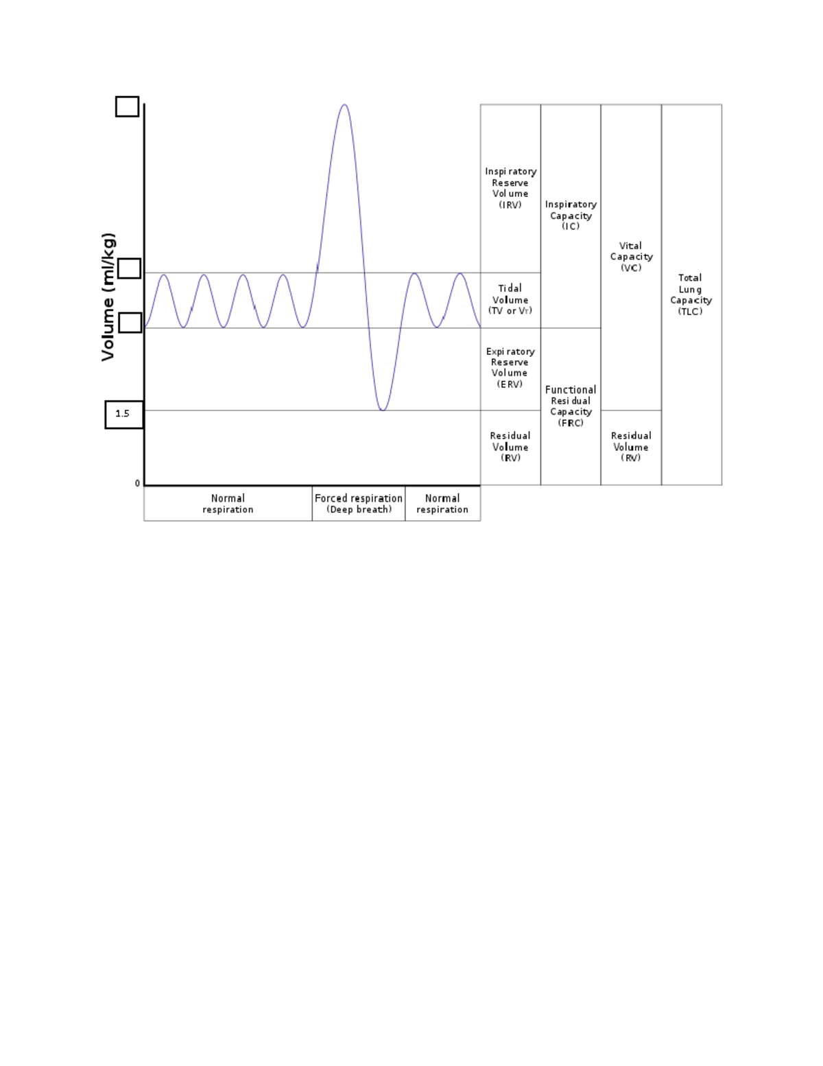Blank Lung Volume Chart - Inspi ratory Reserve Volume (IRV) Inspiratory ...