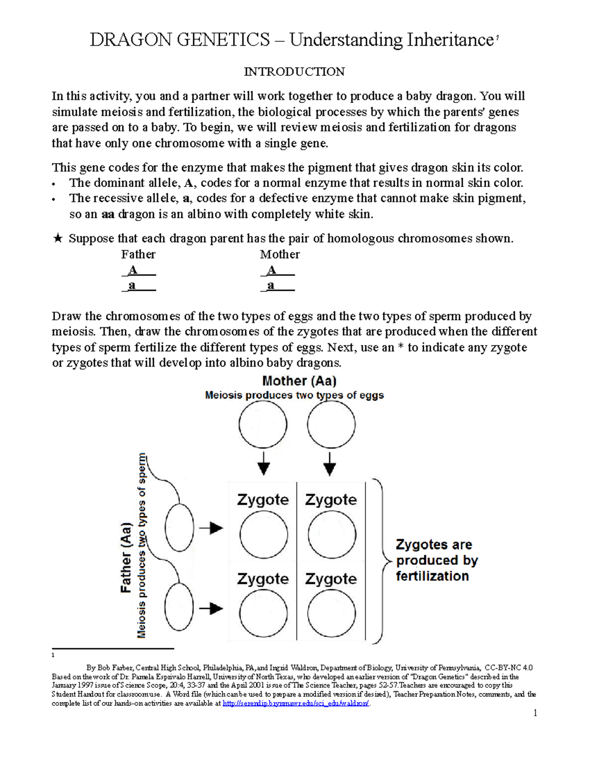 Dragon Genetics 2Protocol - DRAGON GENETICS – Understanding Inheritance ...