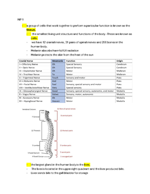 NP-1-5-Preboards-Mentoring - study mentoring on midterm Most abundant ...