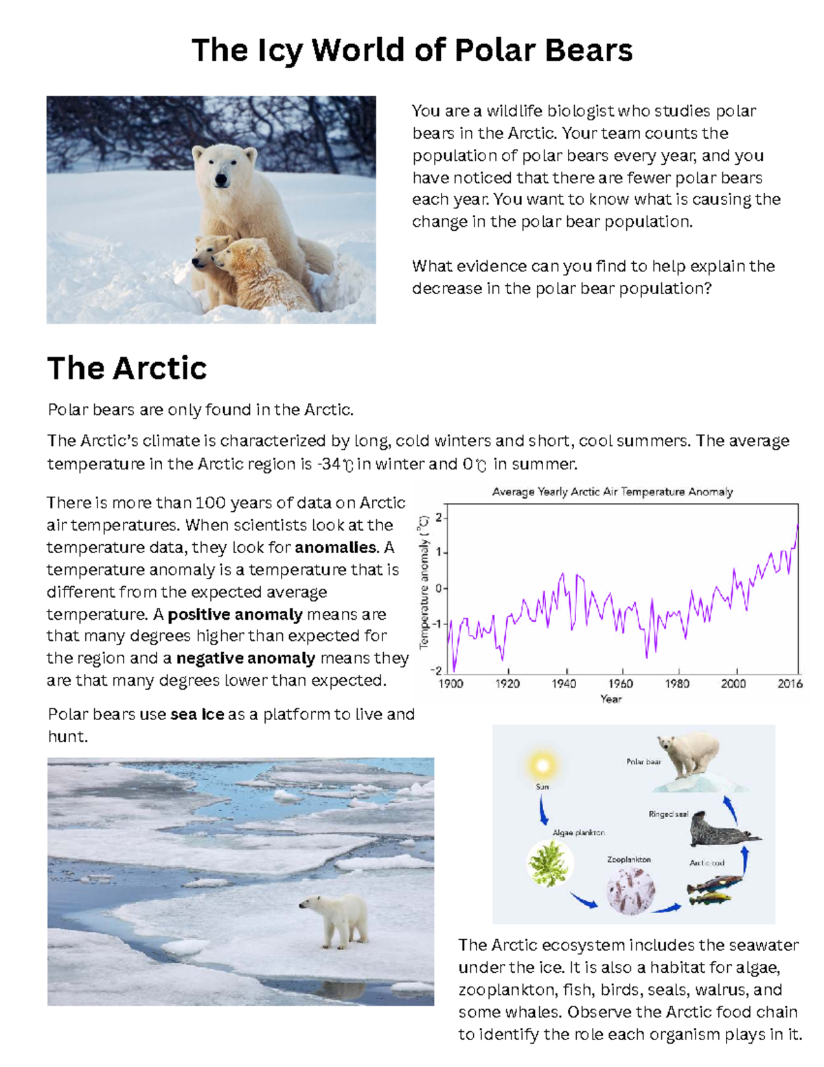 Polar Bear Population Decline: Evidence from Arctic Ecosystem Studies ...