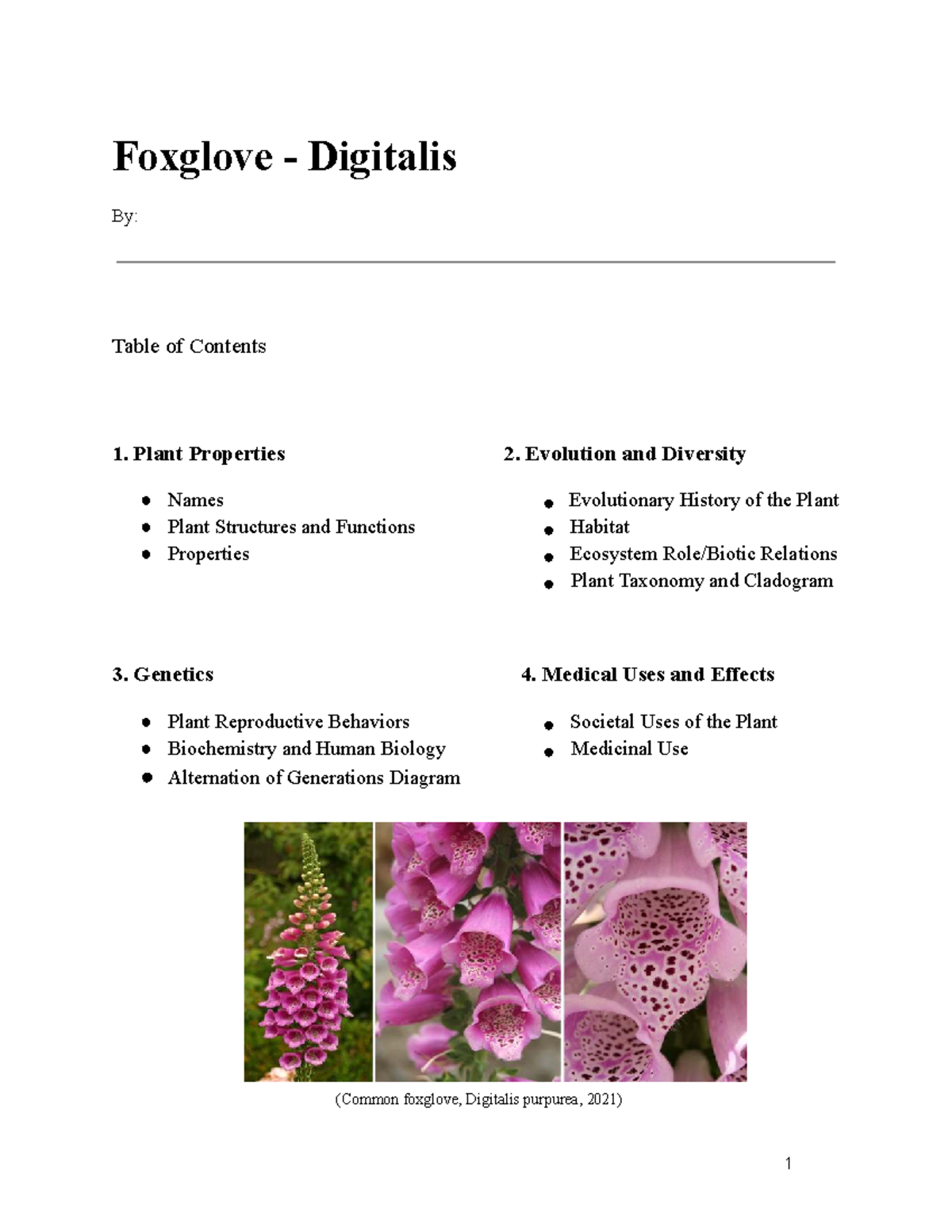 Culminating - Plant Research Notes: Foxglove (Digitalis purpurea ...
