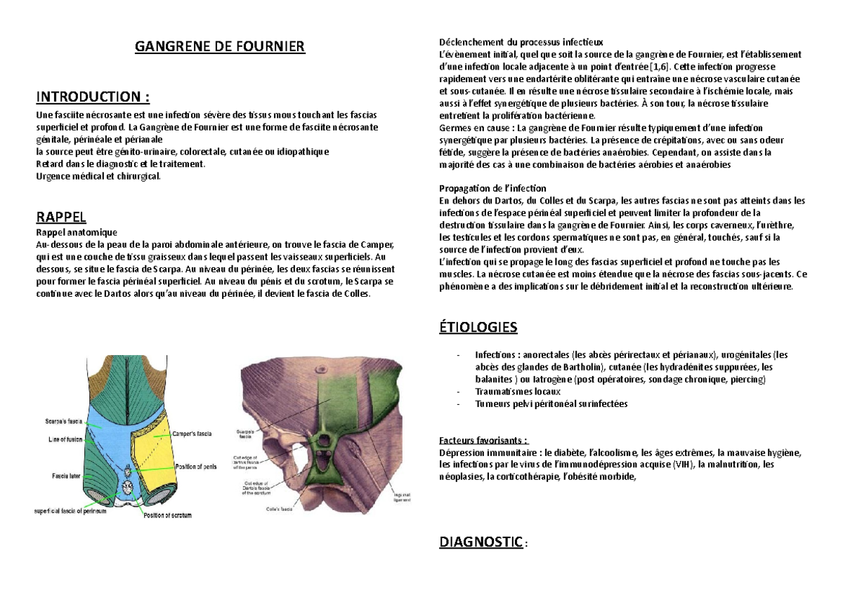 Gangrene DE Fournier - cours resumé - GANGRENE DE FOURNIER INTRODUCTION ...