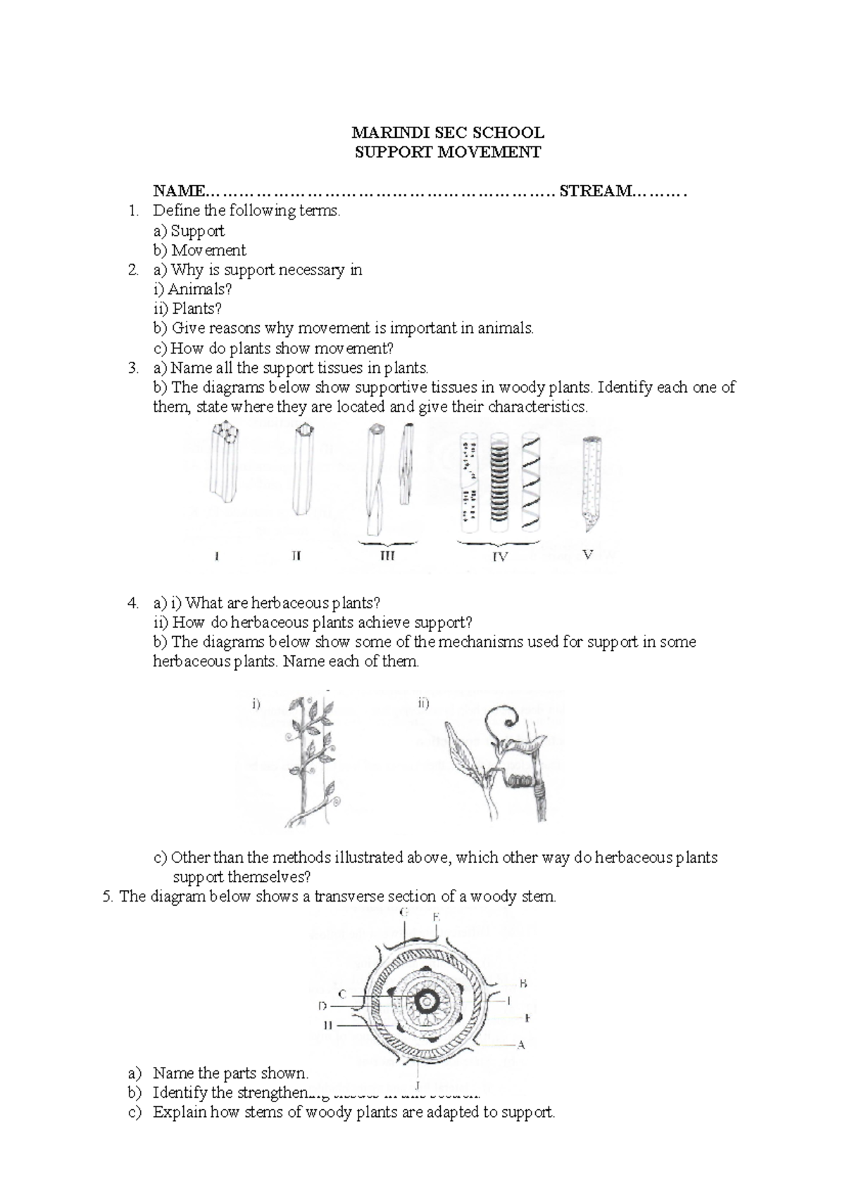 Support and Movement Study Questions for Biology 101 - Studocu