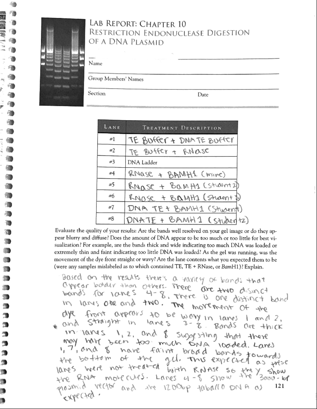 Comprehensive Lab Report Analysis and Findings - Studocu