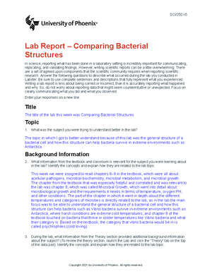 Sci250 v5 wk1 the aseptic technique lab report - SCI/250 v Aseptic ...