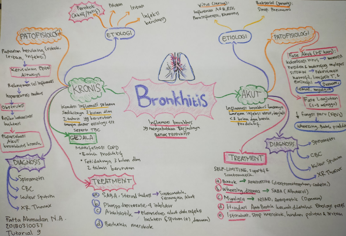 Bronchitis Mind Map: Etiology, Pathophysiology, and Treatment - Studocu