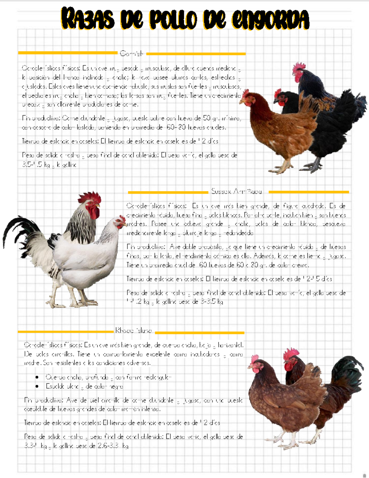 Razas y características de Pollos de Engorda: Guía Completa - Studocu