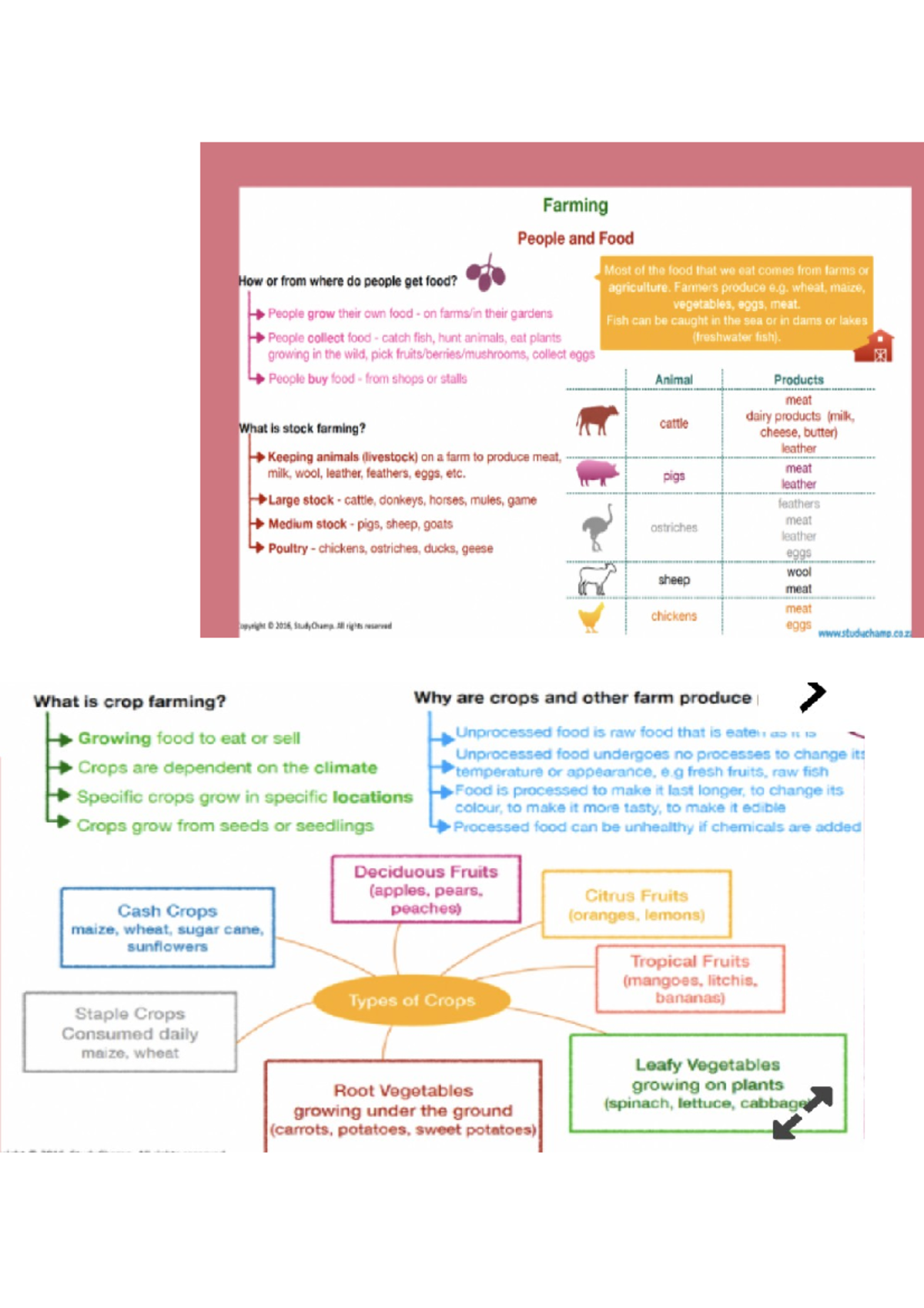 Social Science Grade 4: Exploring Farming Practices - Studocu